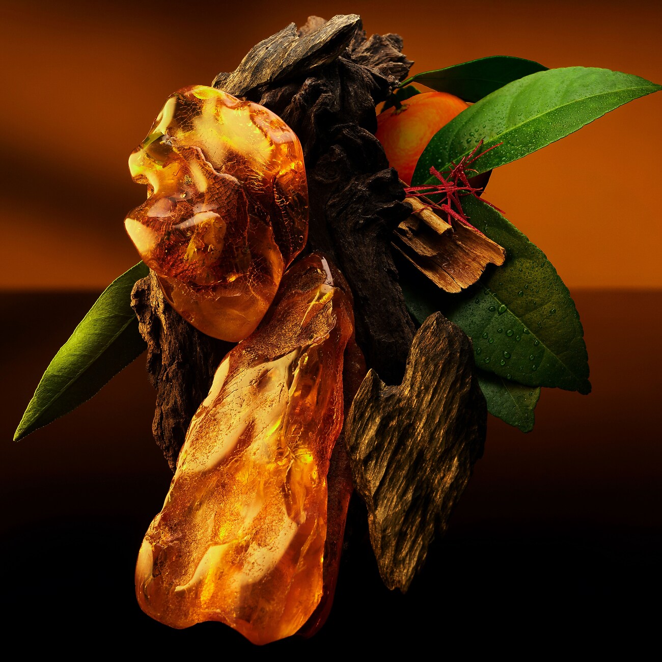 Ambre Levant - All Perfumes | LOUIS VUITTON