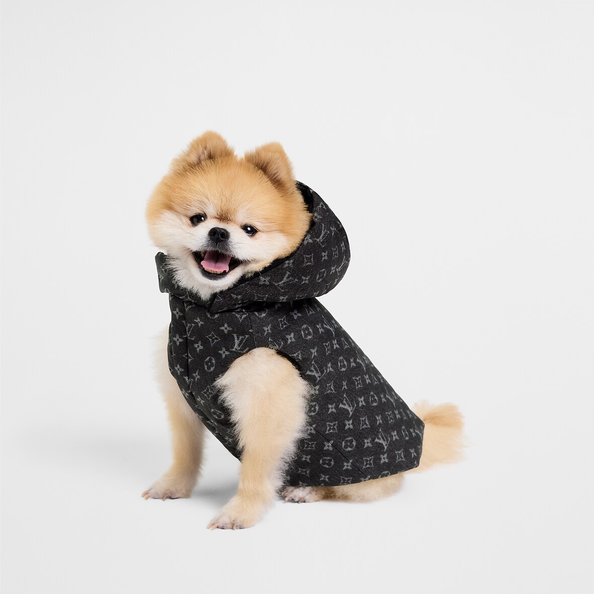Dog Ready-To-Wear - Pets Accessories - Trunks, Travel and Home | LOUIS ...